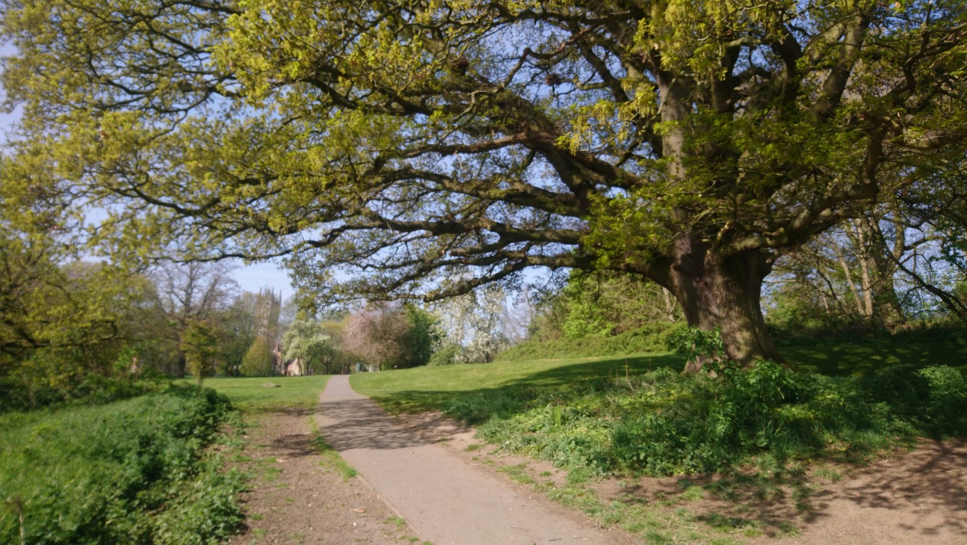 Friends of Priory Park Warwick (FOPP) Open Meeting 4th July 2023 ...