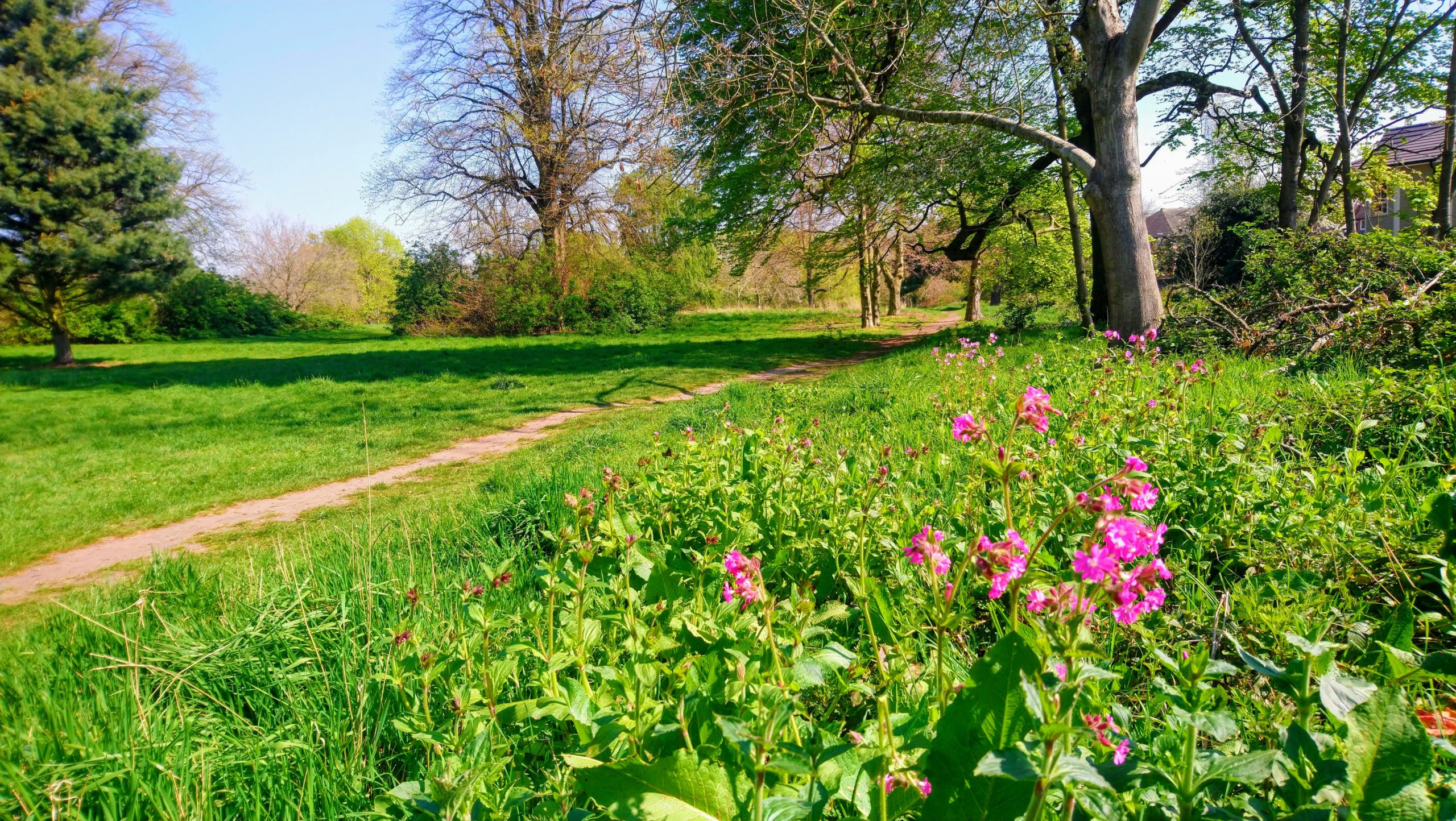 Friends of Priory Park Warwick (FOPP) Open Meeting 23rd May 2023 ...