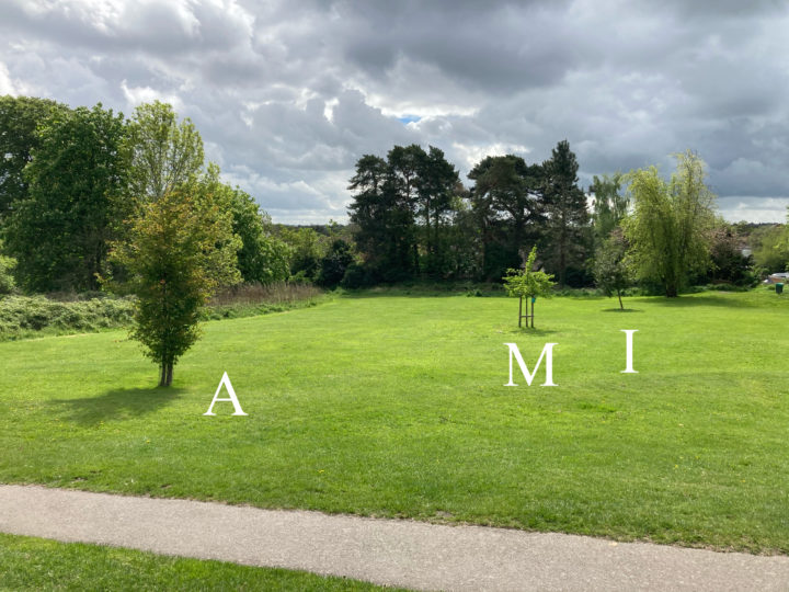 Trees and Plants - Friends of Priory Park Warwick