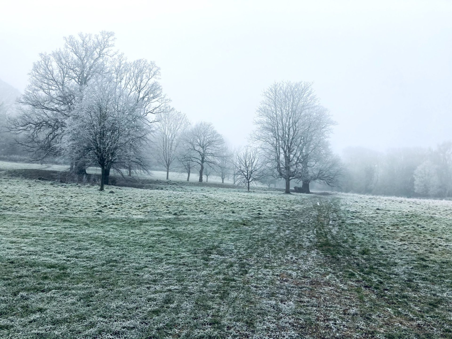 Friends of Priory Park, Warwick (FOPP) Meeting 13th January 2022 ...