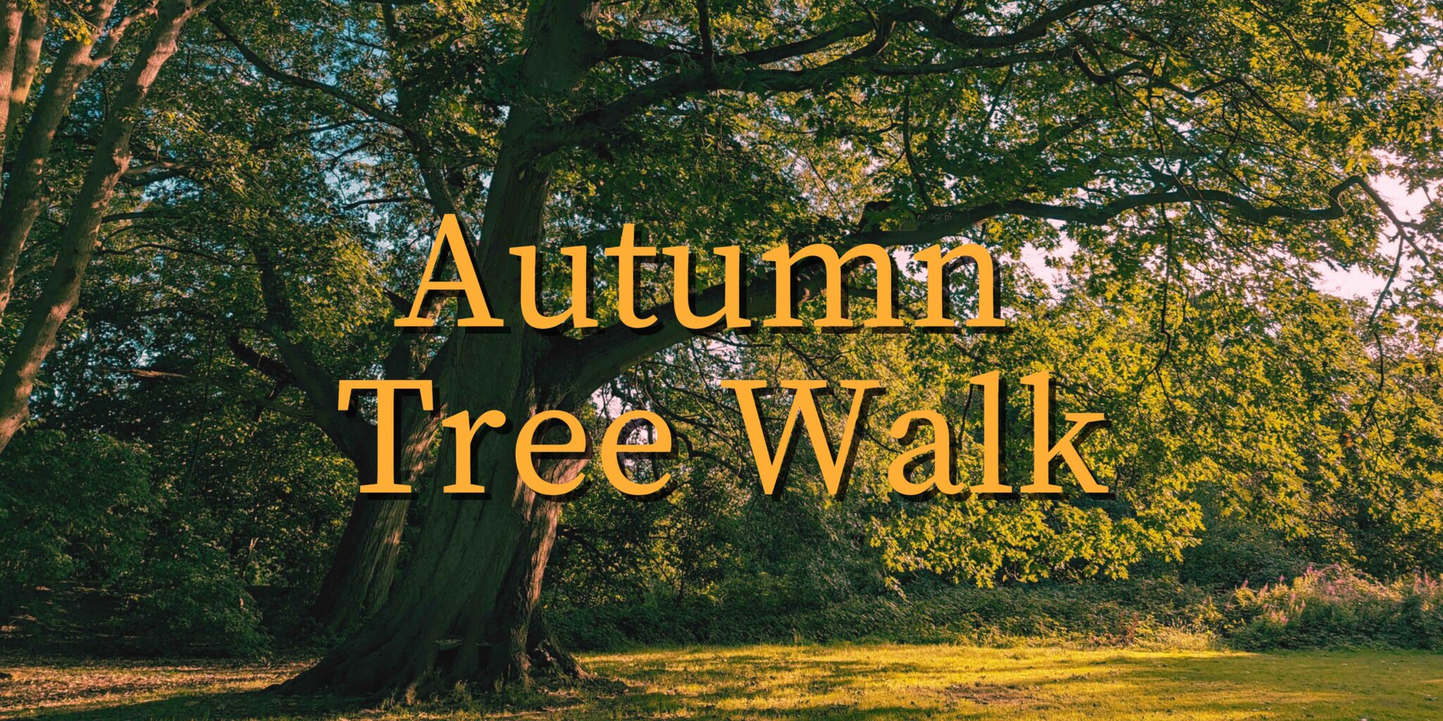 Autumn Tree Walk - Friends of Priory Park Warwick
